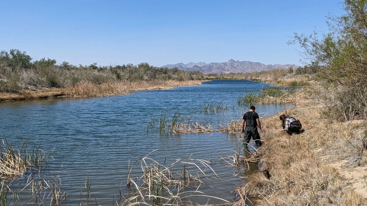 Deadly dog parasite found in Southern California in a 1st | Live Science