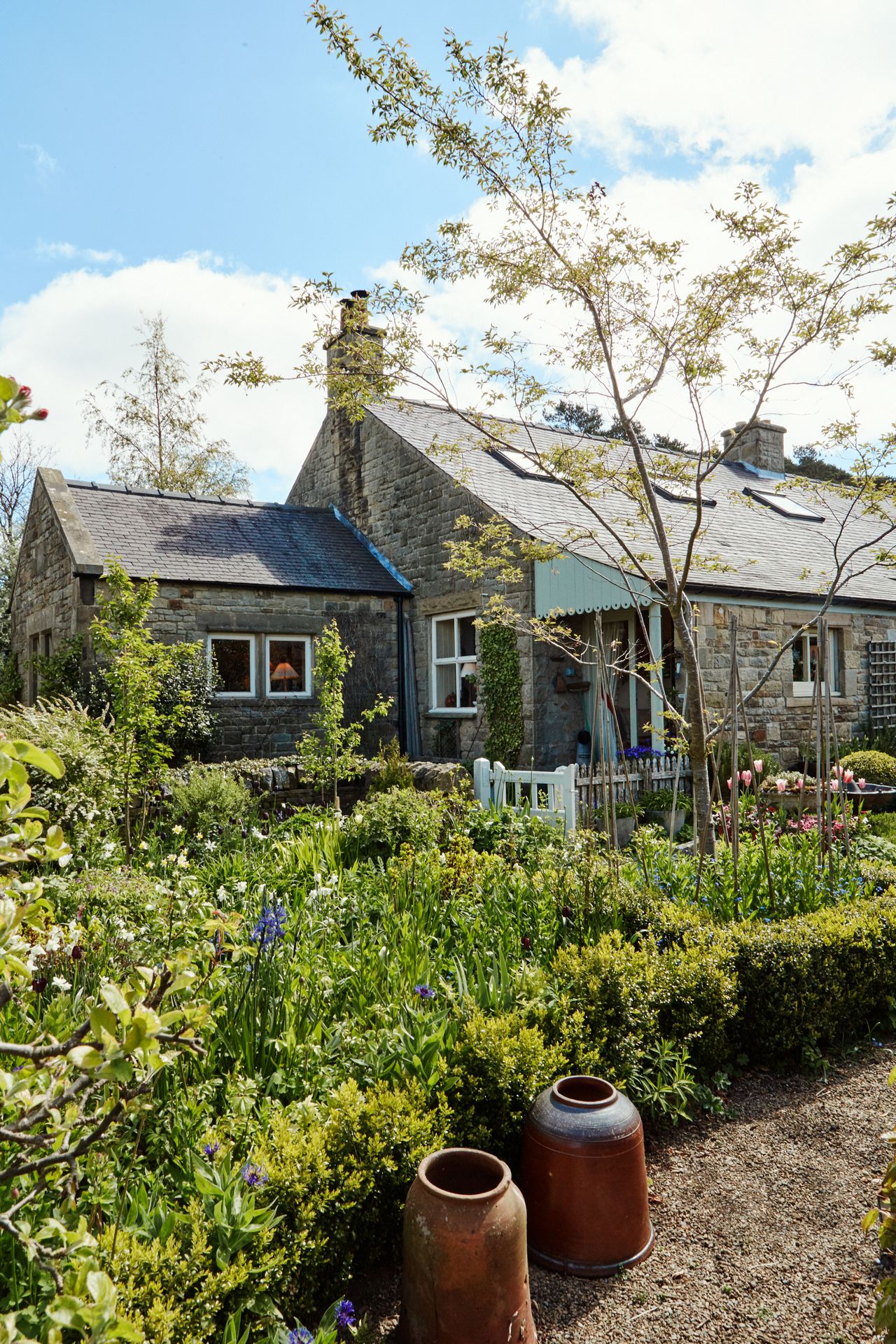 Real home: A forestry worker's cottage filled with treasure and charm ...