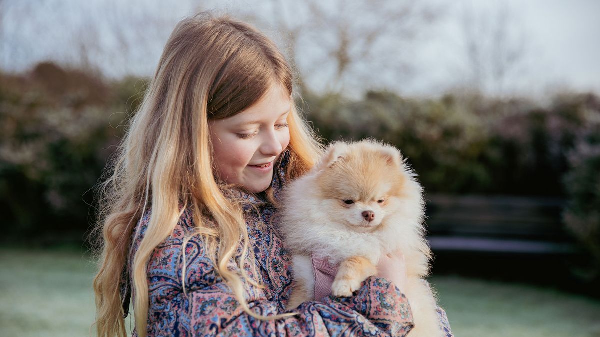 Kennel Club Hero Award Dog nominees and their stories | PetsRadar