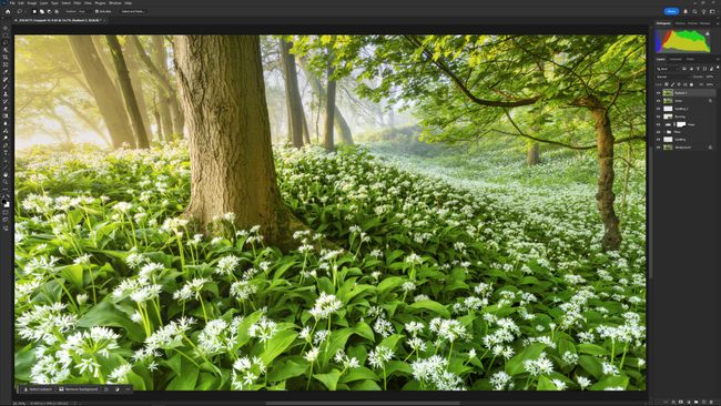 Radiant Photo 2 review: impressive automated and manual editing ...