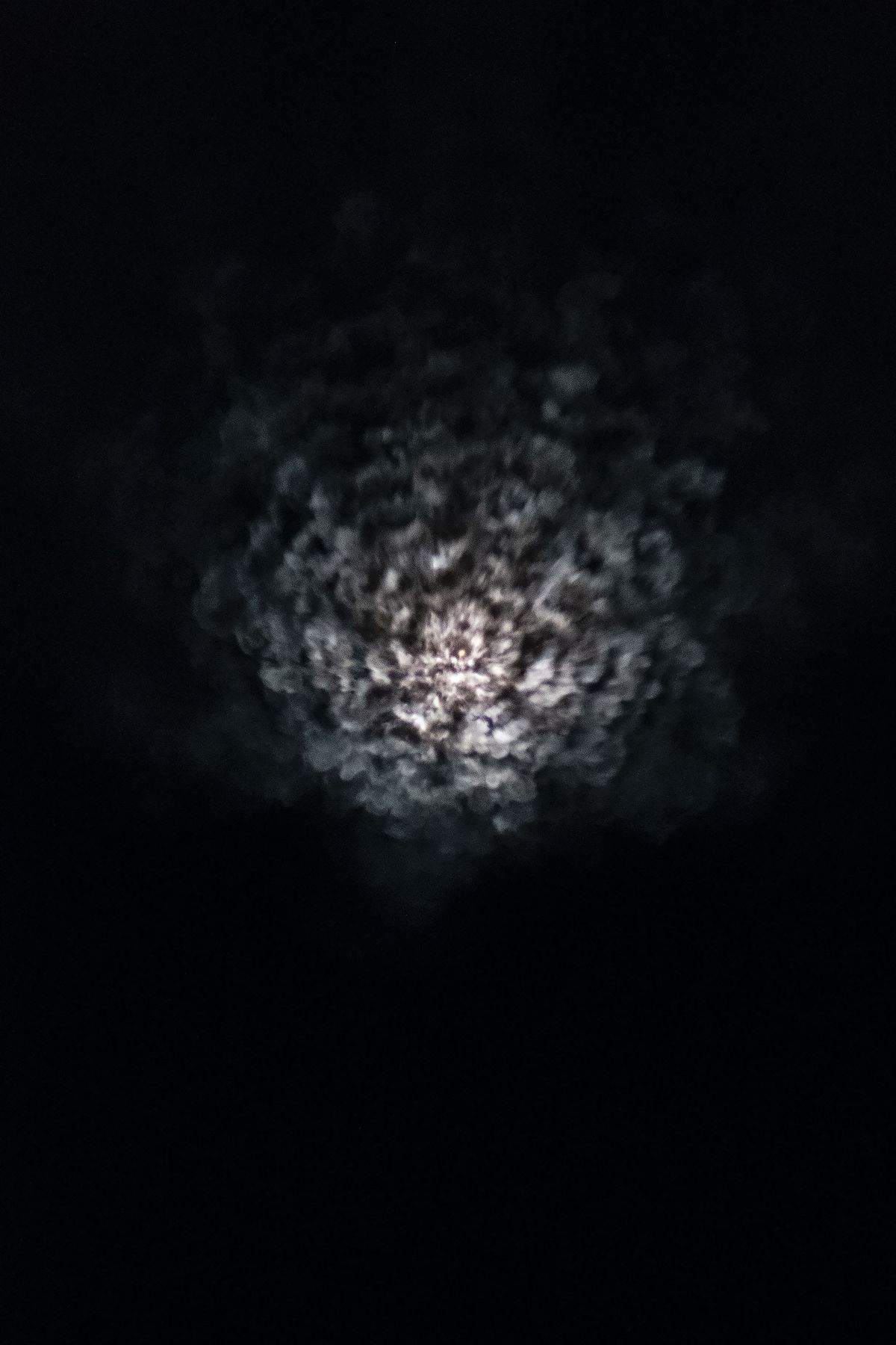 SpaceX Falcon Heavy lights up the sky in incredible launch photos | Space