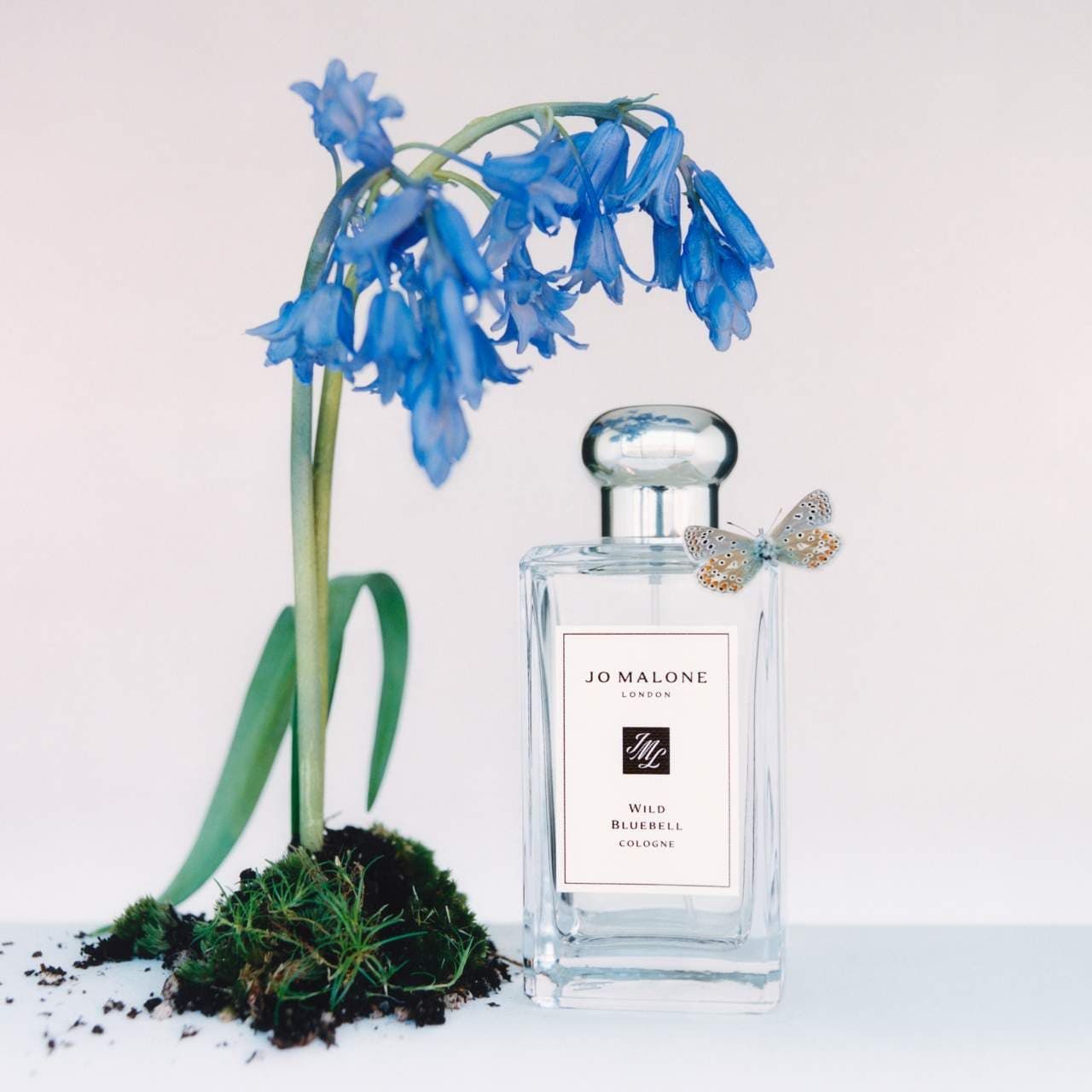 The Best Jo Malone Perfumes, According to Editors | Marie Claire