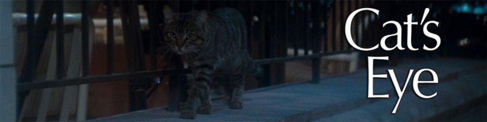 Adapting Stephen King's Word Processor Of The Gods: Does The 1984 Tales ...