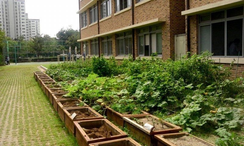 Learn About School Gardens - Tips For Making A School Garden For ...