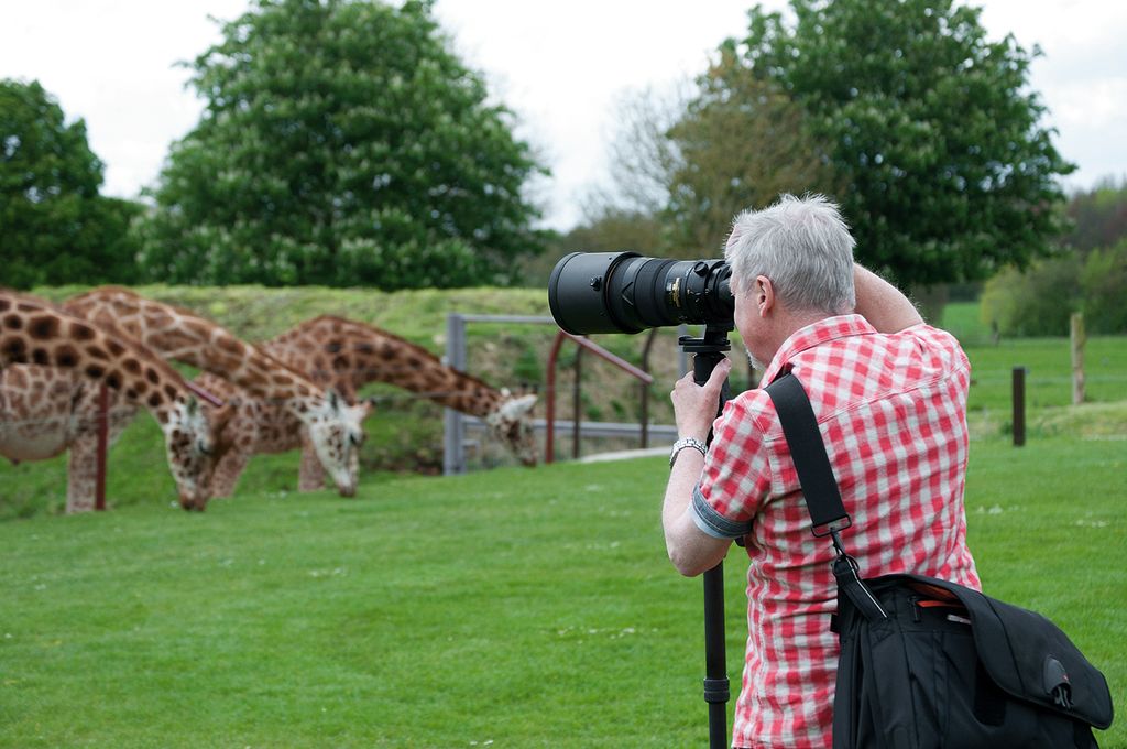 Zoo photography tips: how to get great pictures of animals | Digital ...