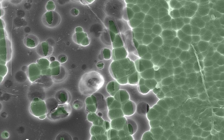 Lab 'Accident' Becomes Mutant Enzyme That Devours Plastic | Live Science