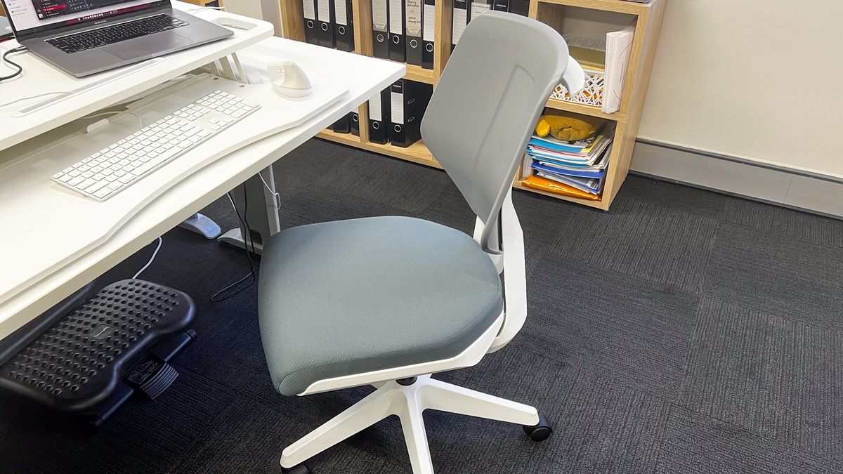 Desky Swivel 3D Tilt office chair review: an entry-level chair that ...
