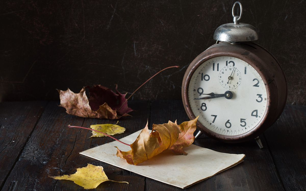 The 12 Biggest Mysteries of Fall — Solved! | Live Science