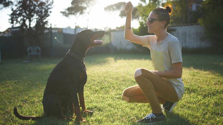 The science behind positive reinforcement for dogs | PetsRadar