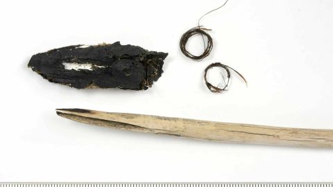 25 things found frozen in Europe's mountain ice | Live Science