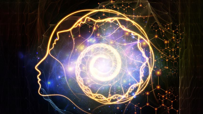 The Amazing Human Brain - News and Scientific Articles on Live Science ...