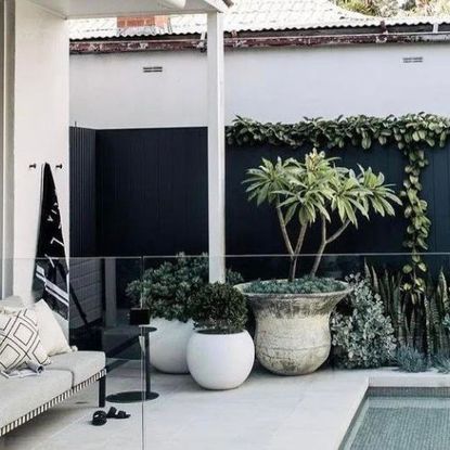 How to create a moon garden with expert plant suggestions | Homes and ...