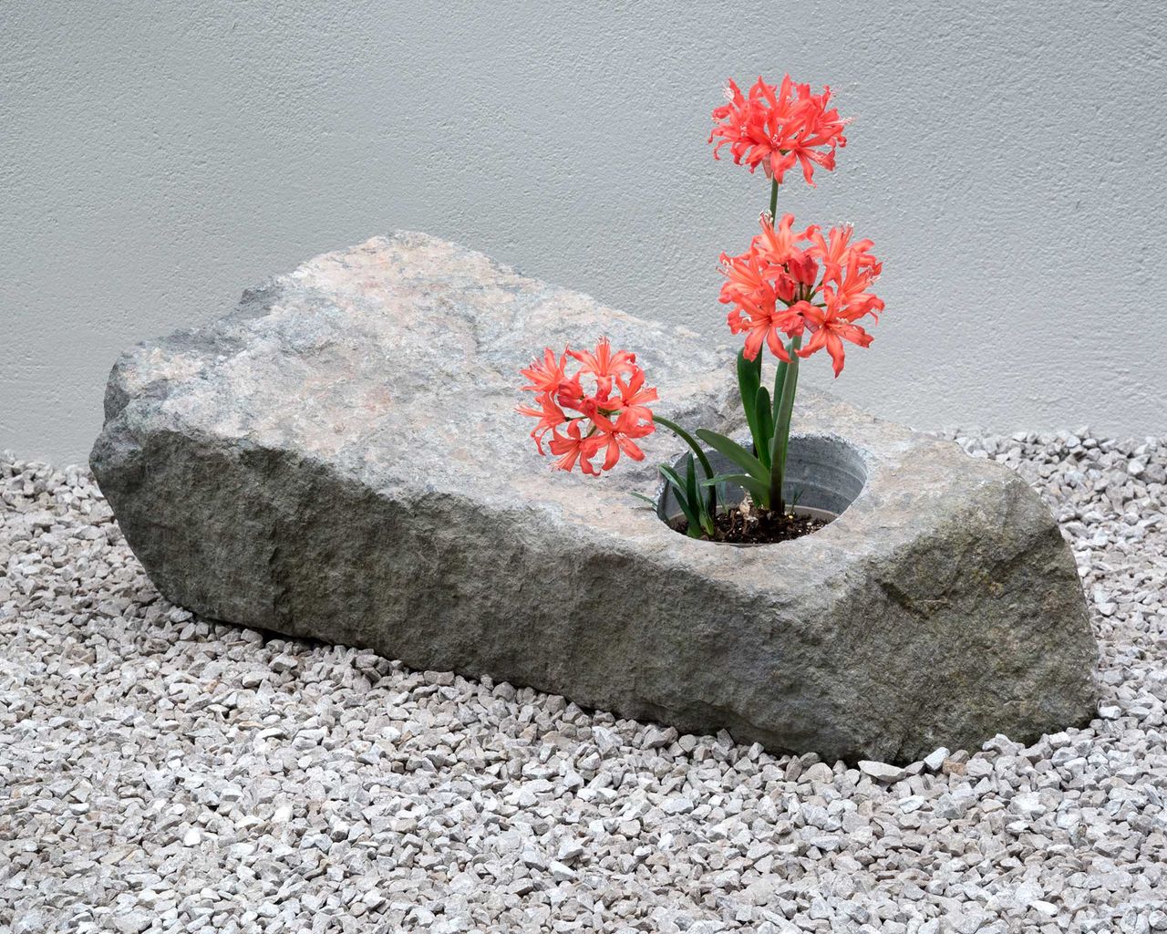 Garden decor with stones: 12 beautiful ideas for walls, floors ...