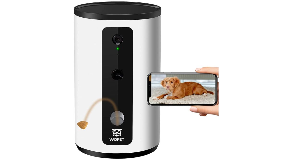 Best pet cameras 2024 for keeping tabs on your animals | PetsRadar