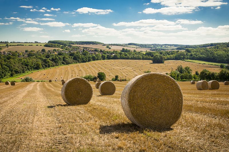 The Country Life Podcast | Country Life