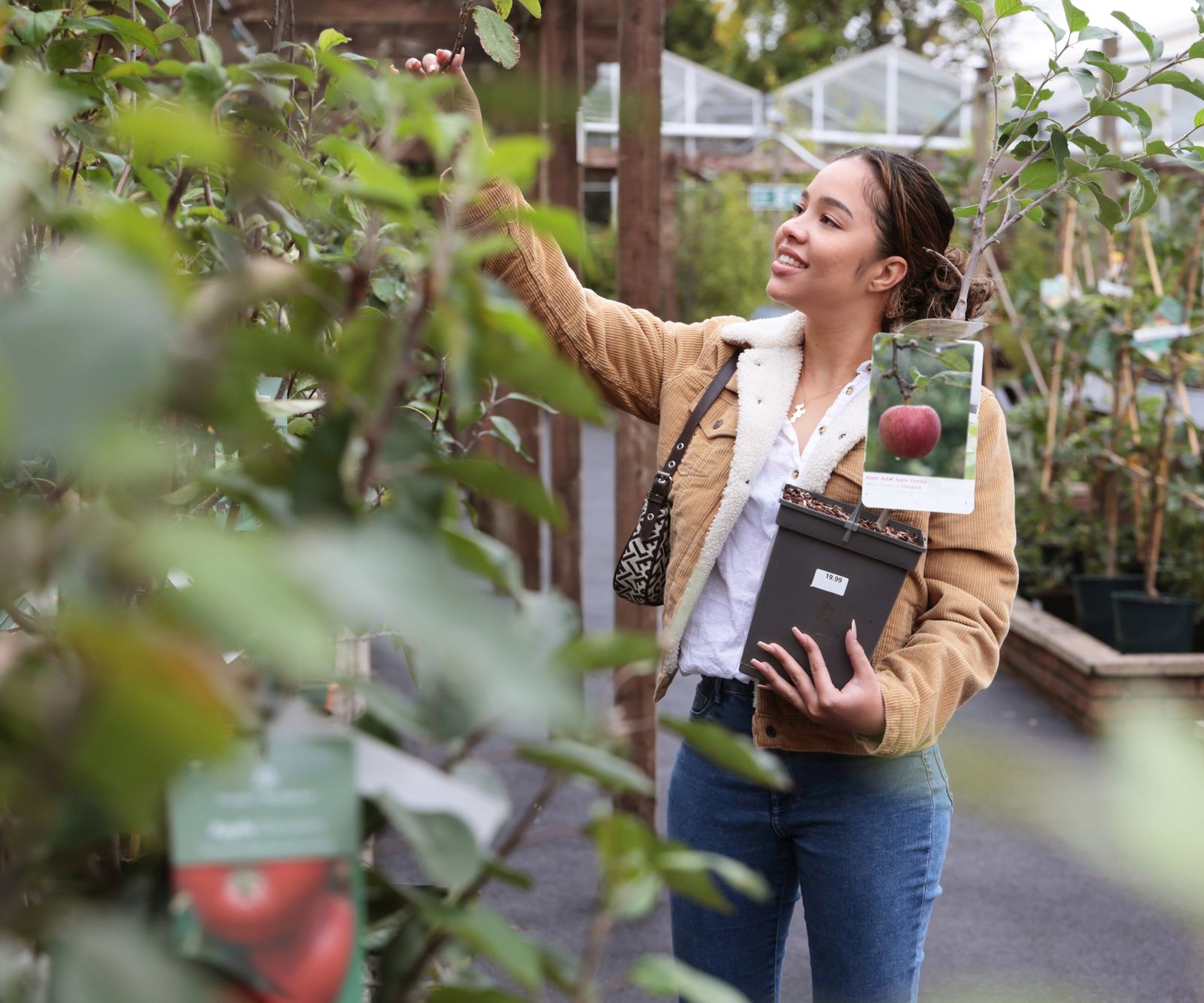 Can apple trees grow in pots? Experts reveal all | Homes and Gardens