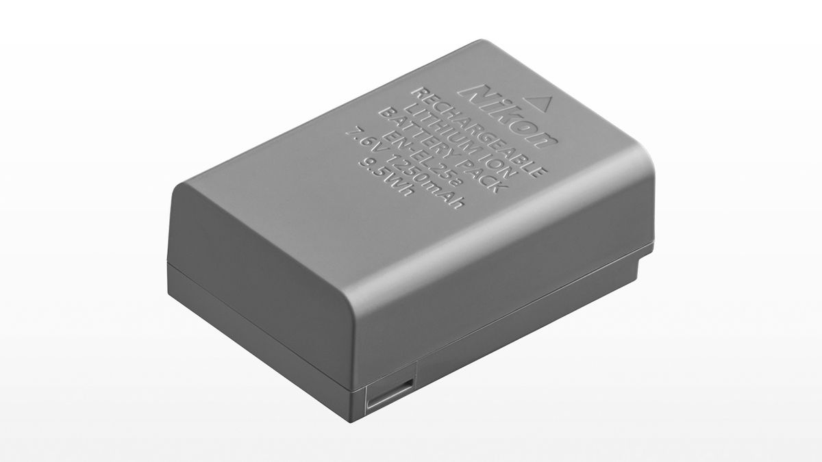 Retro cameras, fresh tech! Nikon Zf and Z fc get new firmware and a big ...