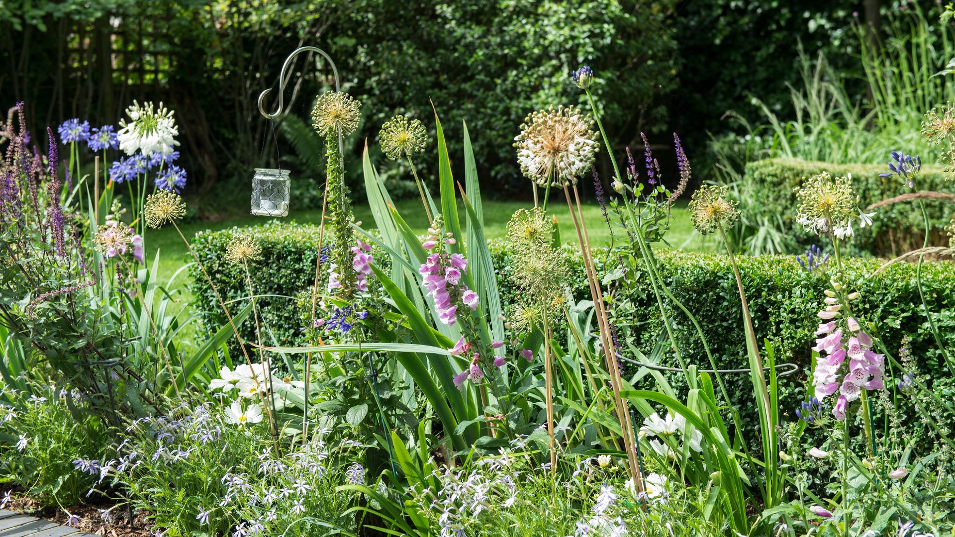 8 long flowering perennials for lasting blooms | Ideal Home