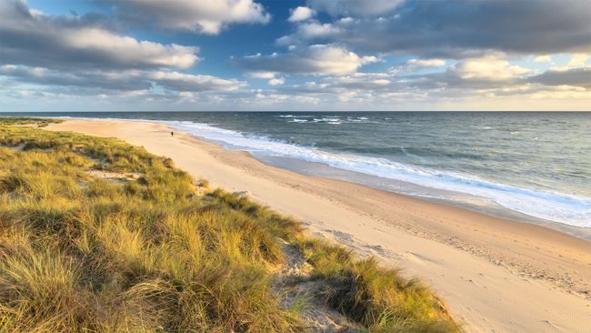 How to read a tide chart: a quick guide to coastal navigation | Advnture