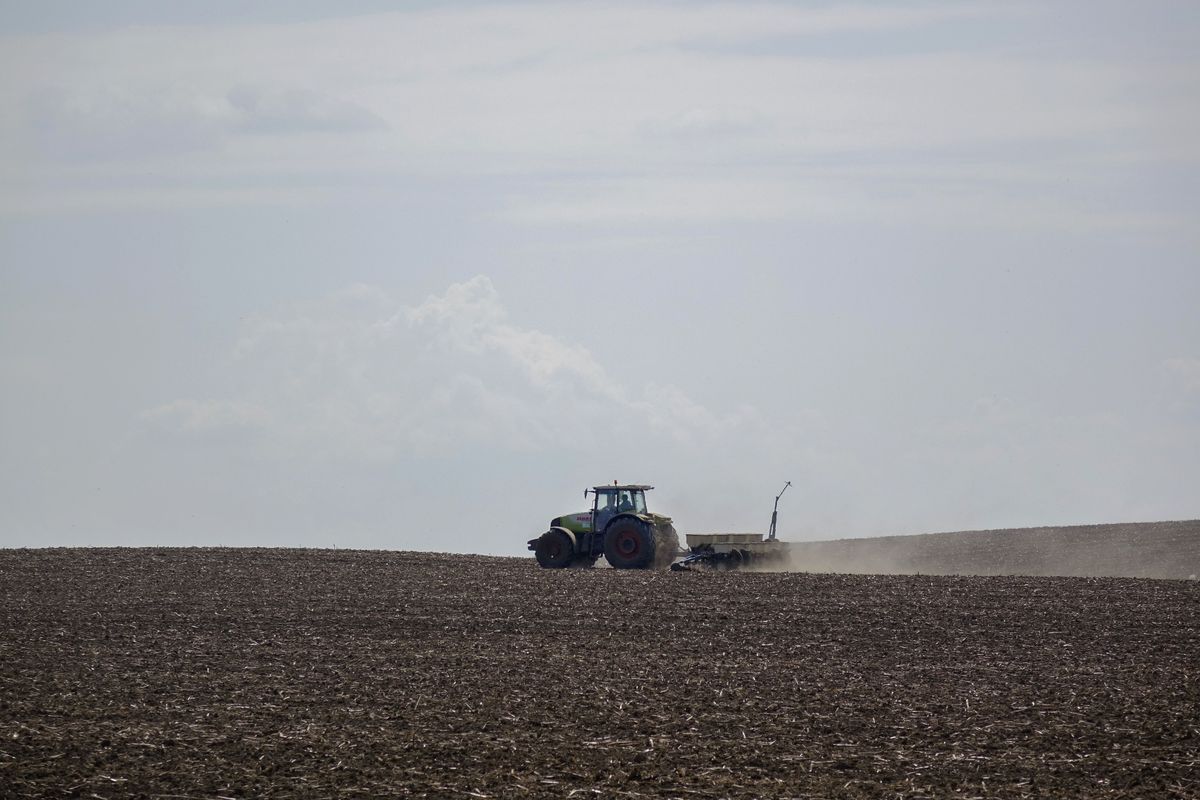 The looming catastrophe of the global food shortage | The Week