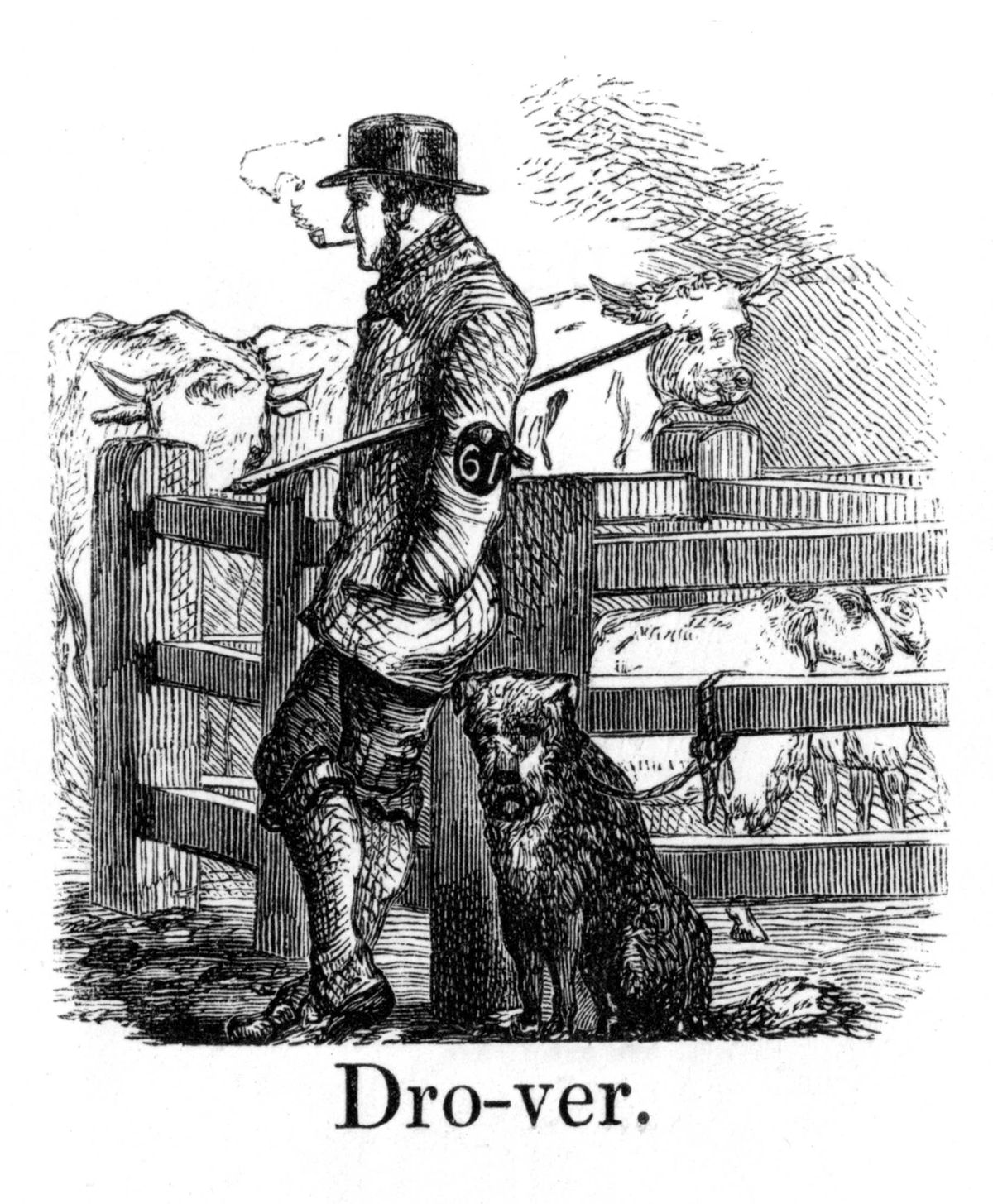 Drovers' routes: The ancient trails from farm to market, and how they ...