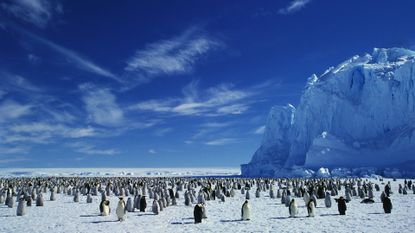 Antarctica: Facts news, features and articles about the southernmost ...