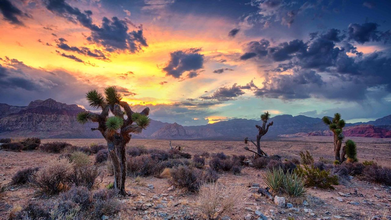 Nevada Tax 2025: Guide to Income, Sales, Property, and Retirement Taxes ...