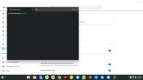 How to run Linux apps on your Chromebook | TechRadar