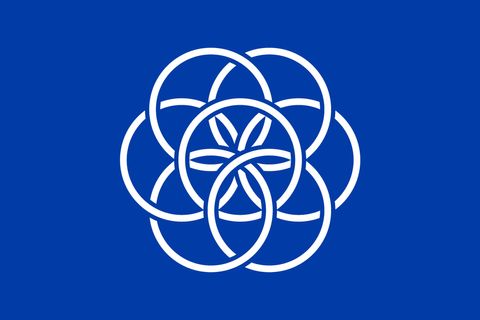 The International Flag of Planet Earth in Pictures | Space