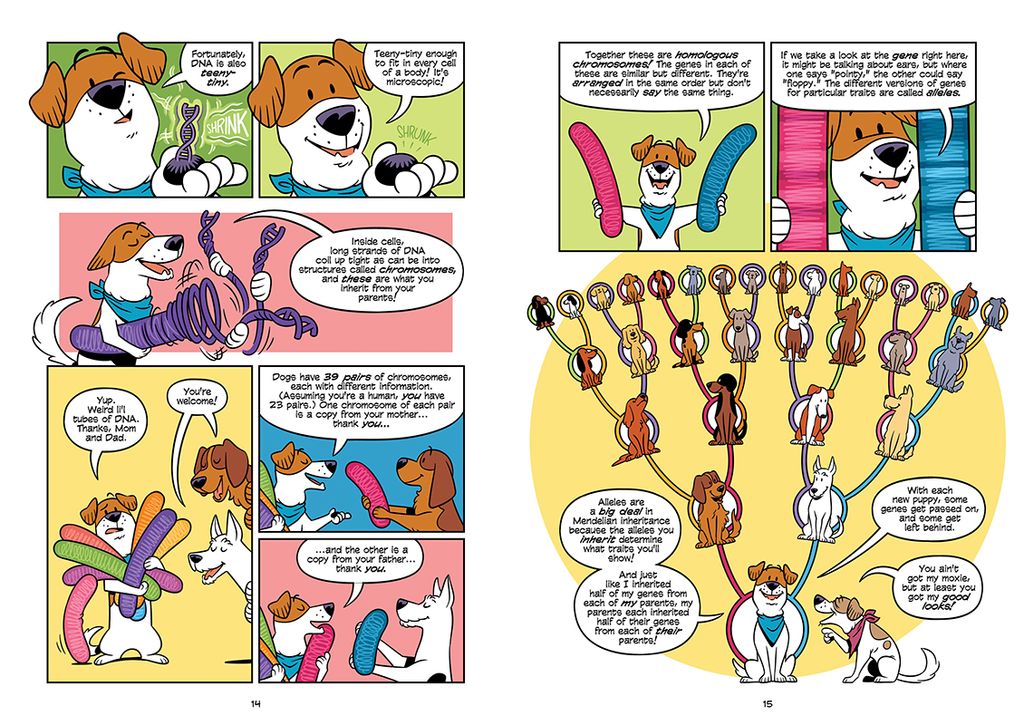 Puppers! Our History with Canines Unfolds in 'Science Comics: Dogs ...