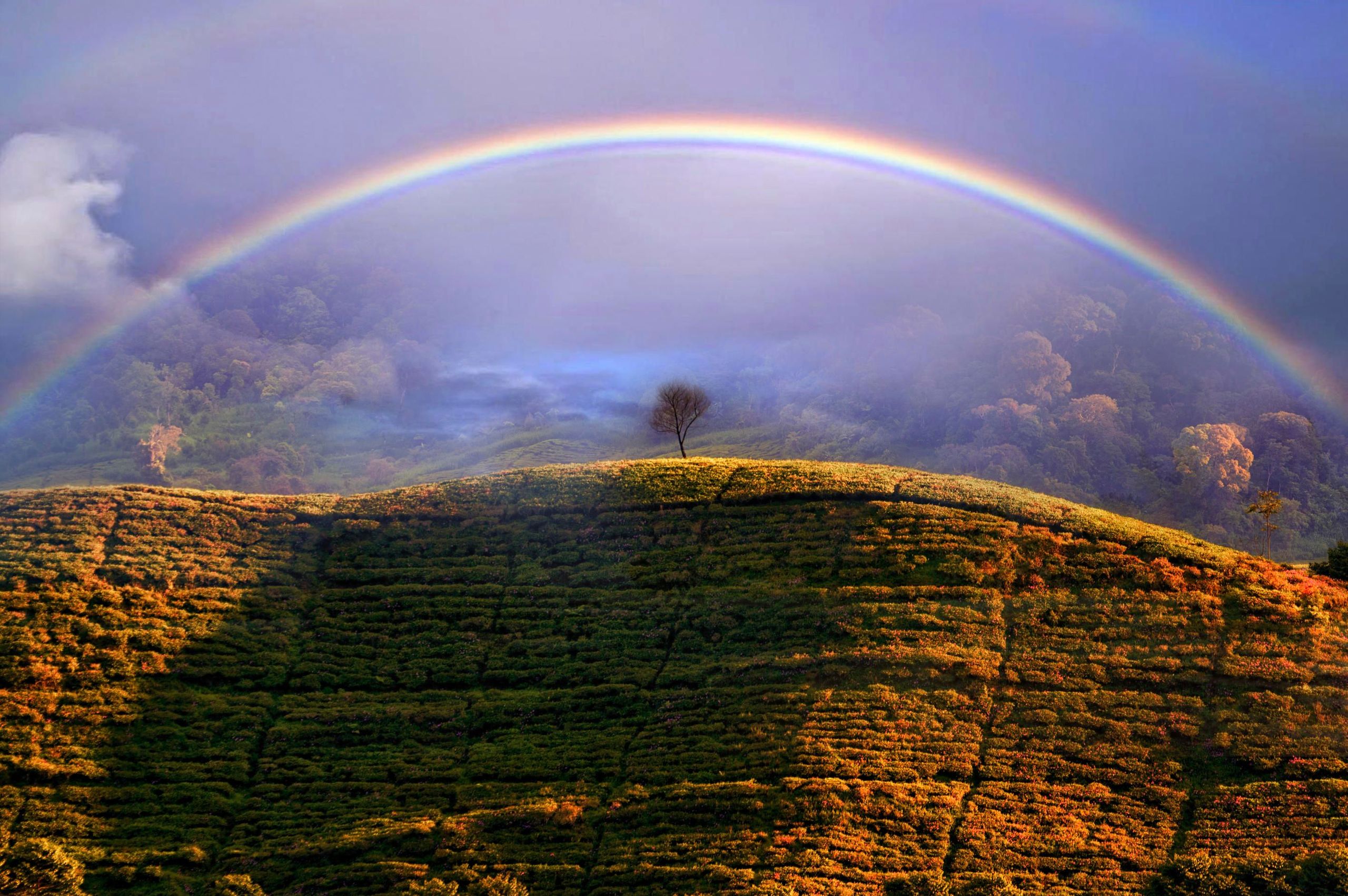 Ever seen a perfect rainbow? This is Weather Photographer of the Year ...