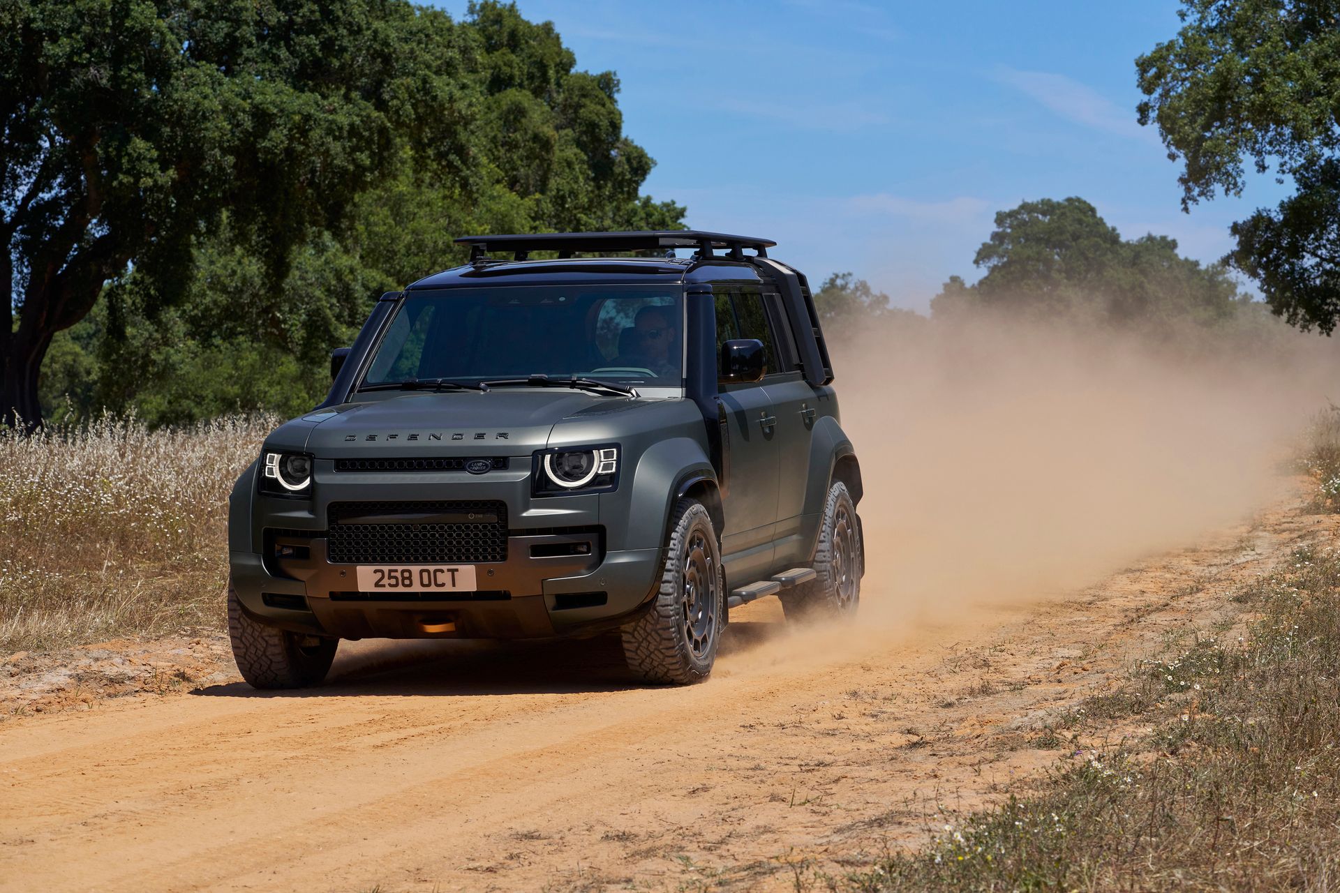 Land Rover Defender OCTA review: ‘grip, grunt and hardiness’ | Wallpaper*