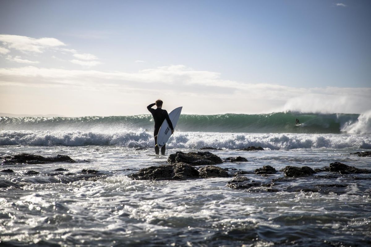 Surf Now TV Rides Wave With Samsung TV Plus | Next TV