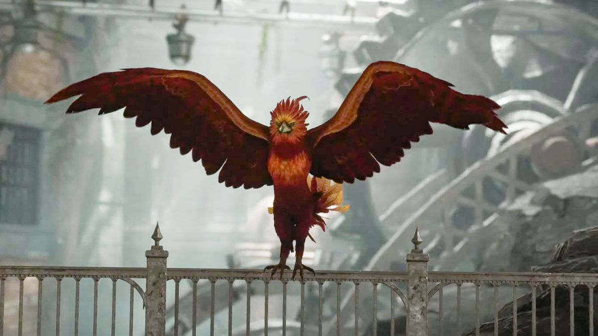 Lokalizacja Hogwarts Legacy Phoenix: Gdzie znaleźć magicznego ptaka ... Lokalizacja Hogwarts Legacy Phoenix: Gdzie znaleźć magicznego ptaka ...