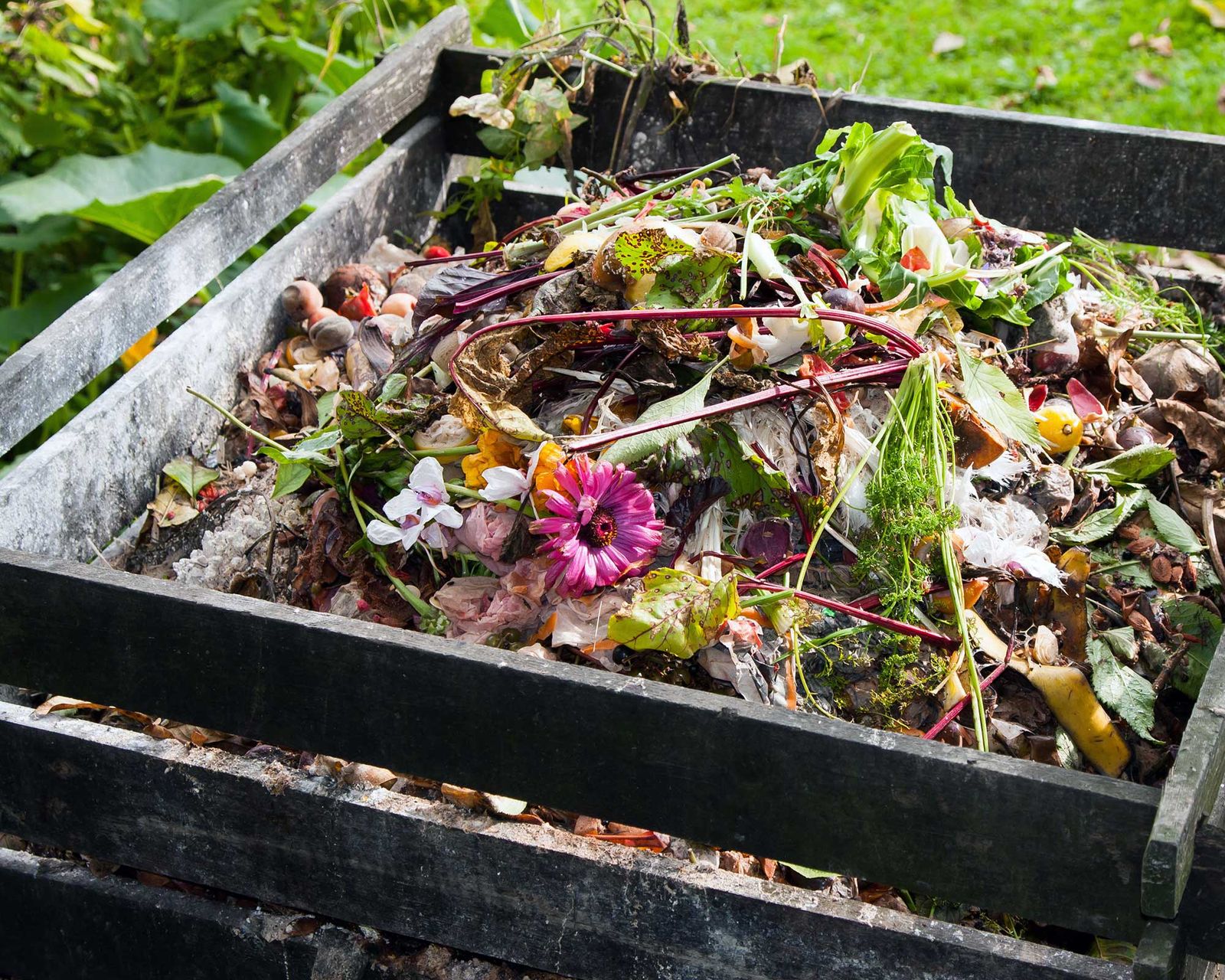 Compost vs topsoil: a guide on what to use and when | Gardeningetc