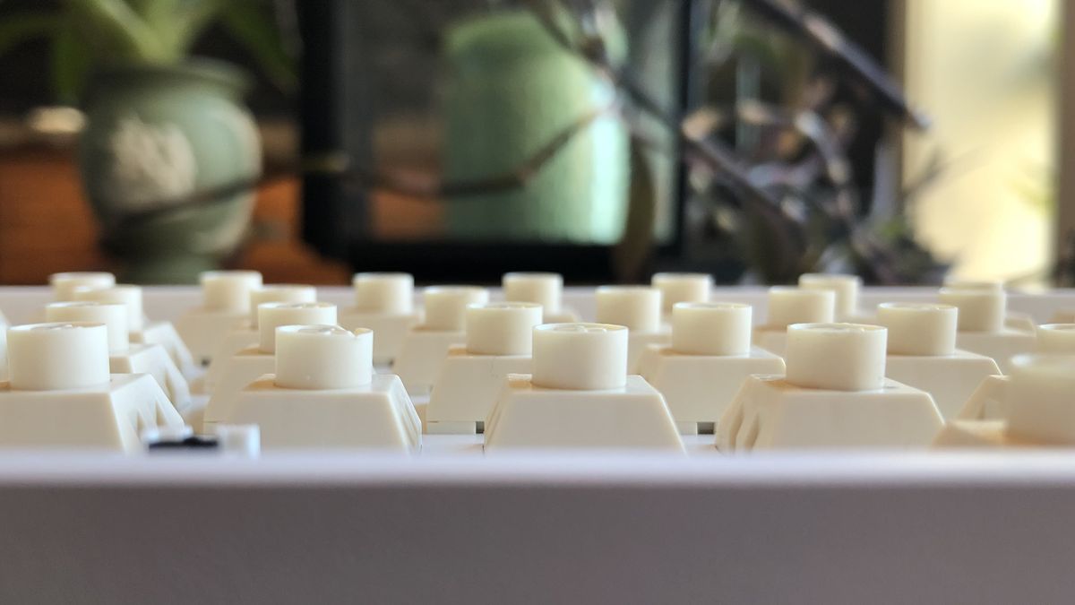 Kailh x NovelKeys Box Cream Mechanical Switches Review: Soft ‘N’ Stable ...