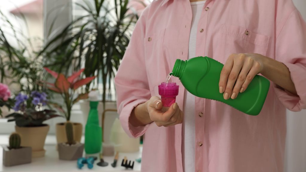 How to care for a Christmas cactus and keep it alive | Tom's Guide