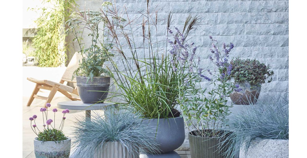 Garden trends 2024: planting ideas to inspire outdoor spaces | Woman & Home