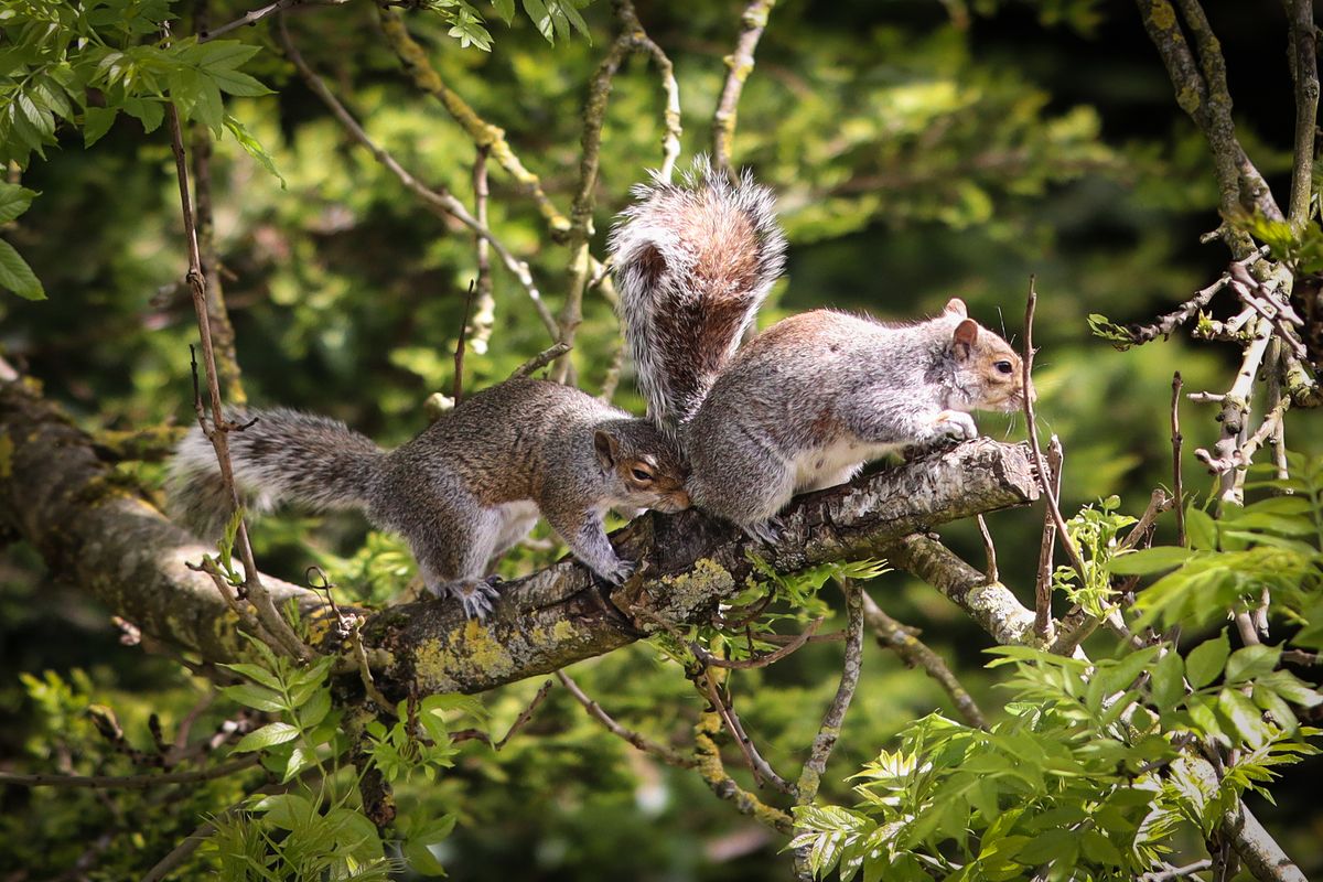 Canon EOS R100 review: the beginner camera to beat all others | Digital ...