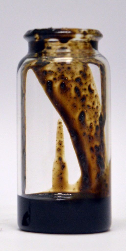 The First Adhesive Was Invented by Neanderthals 200,000 Years Ago ...