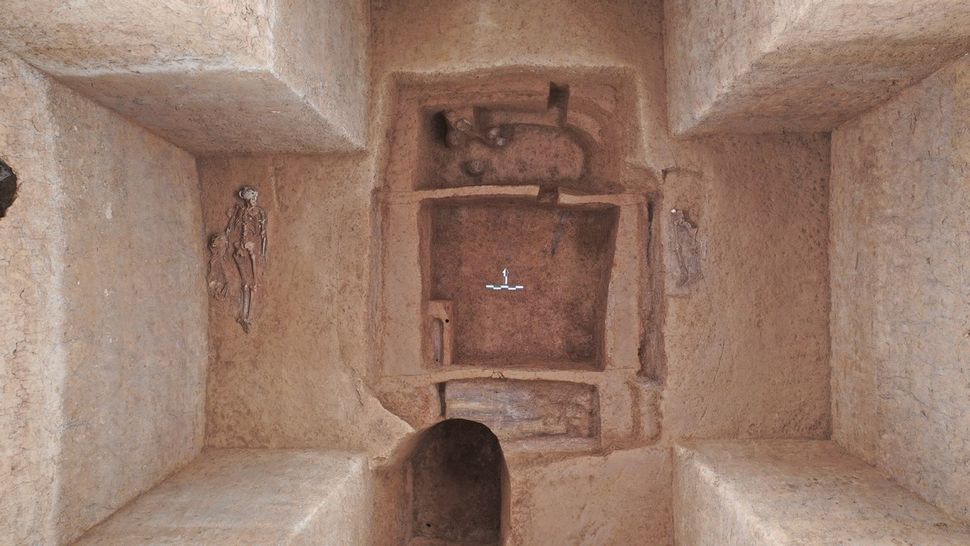 Ancient Chinese tombs hold remains of warriors possibly buried alive ...