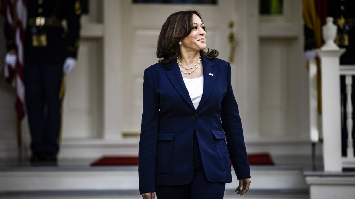 Inside Kamala Harris's subtly patriotic living room color scheme ...