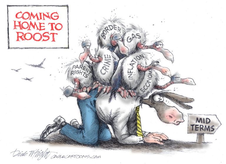 7 brutally funny cartoons about Democrats' grim midterm outlook | The Week