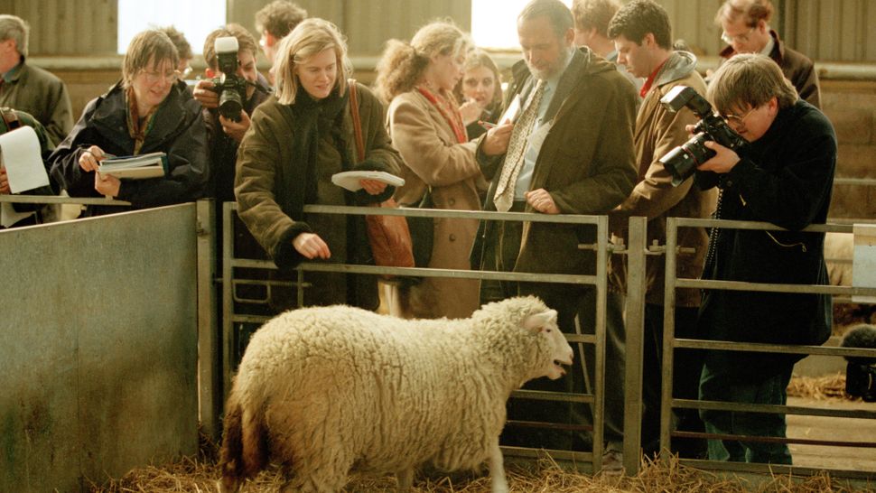 Ian Wilmut, British embryologist who created Dolly the sheep clone ...