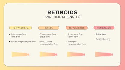 The Ultimate Guide to Retinols: Benefits, Effects, and More | Who What Wear