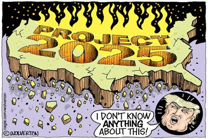 5 alarmingly funny cartoons about Project 2025 | The Week