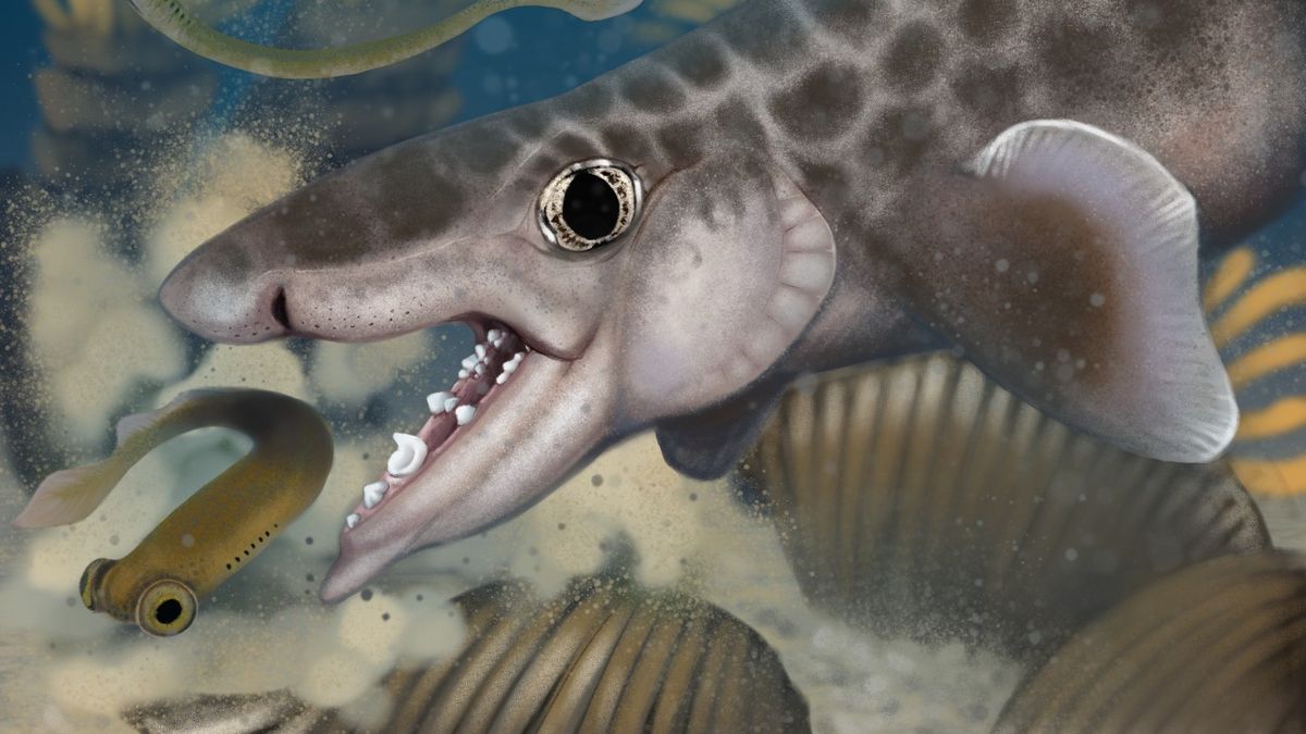 Porno emejita she uses her Snapchat and IG feed to share