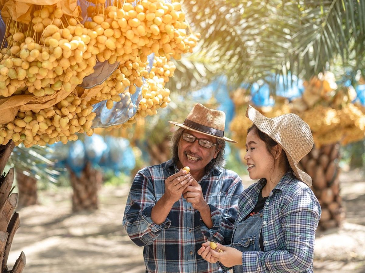 Greening The Desert With Permaculture | Gardening Know How