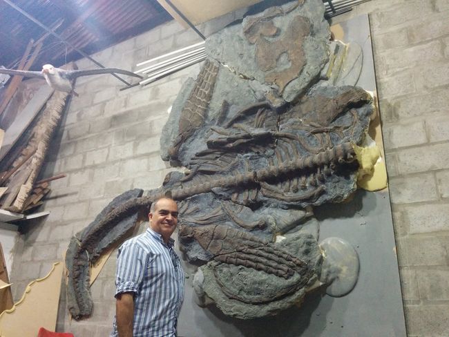 Photos: Uncovering One of the Largest Plesiosaurs on Record | Live Science