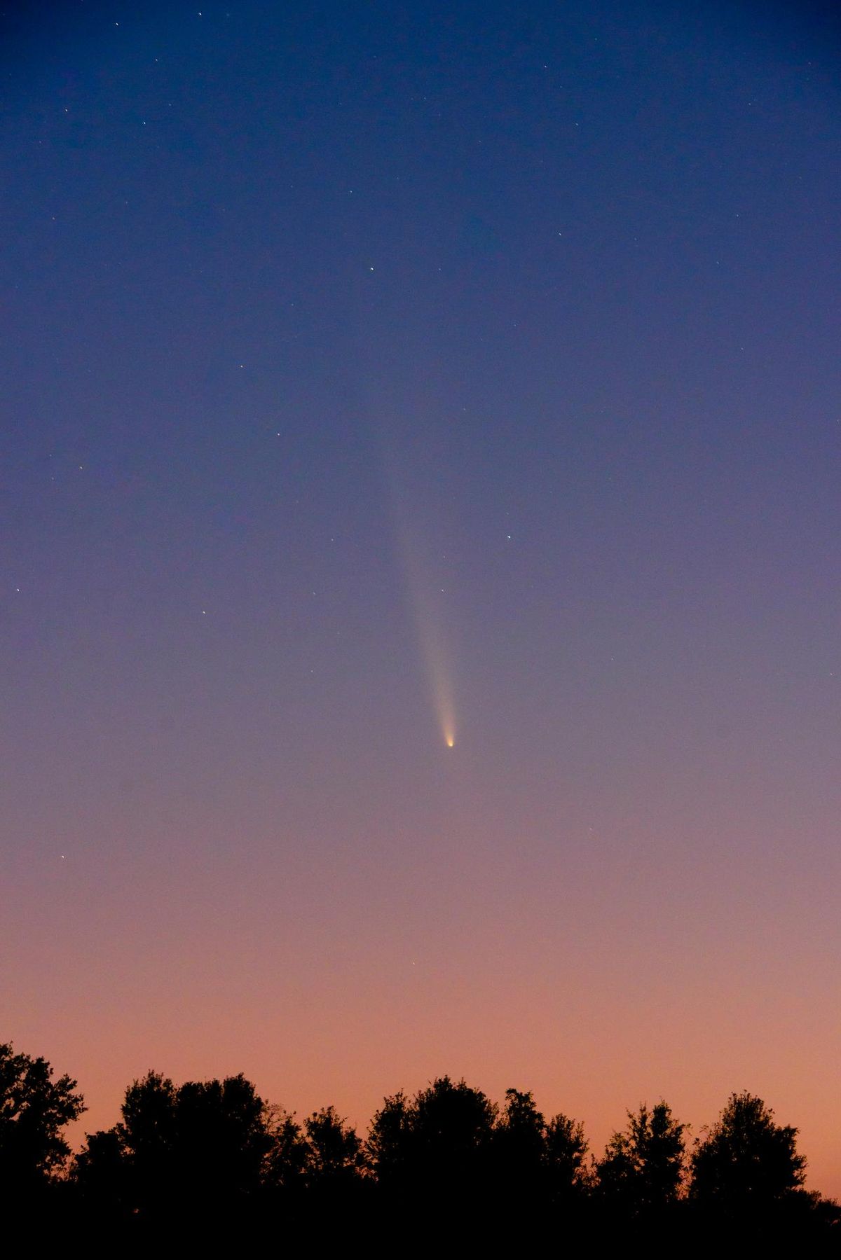 See the 'comet of the century' light up the night sky in breathtaking ...